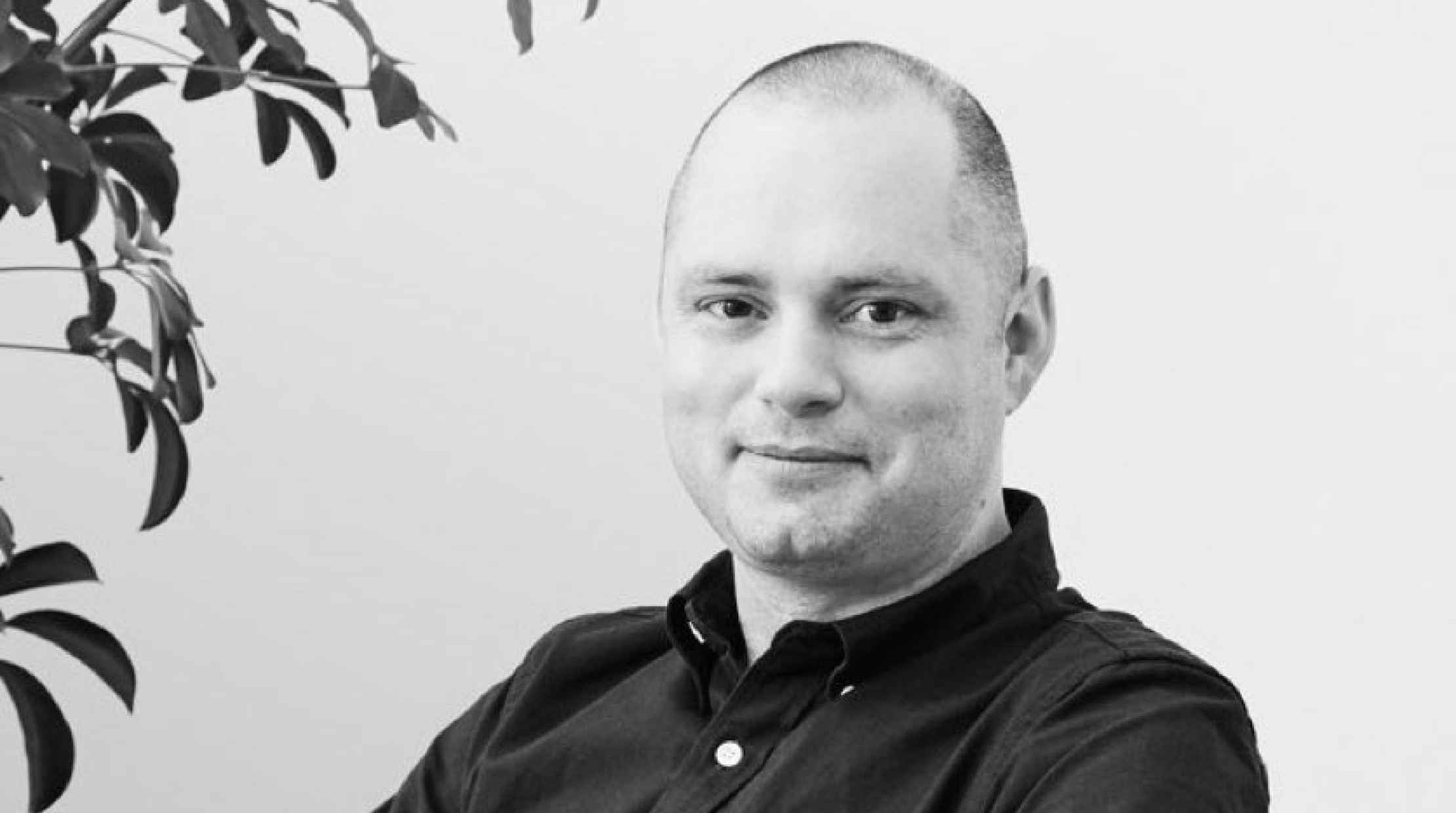 Vio | Peter Schmidt Group